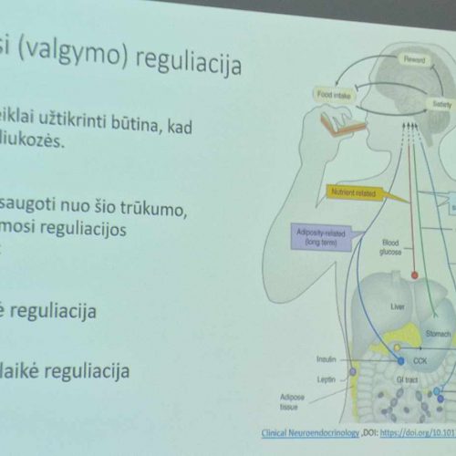 Atvira paskaita „Smegenys ir hormonai: apie ką ir kaip jie bendrauja ...