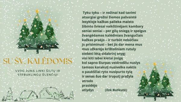 Vilniaus Vytauto Didžiojo gimnazija - VVDG